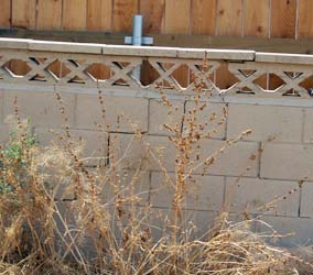 Most Common Code Violations | County of Riverside Code Enforcement ...